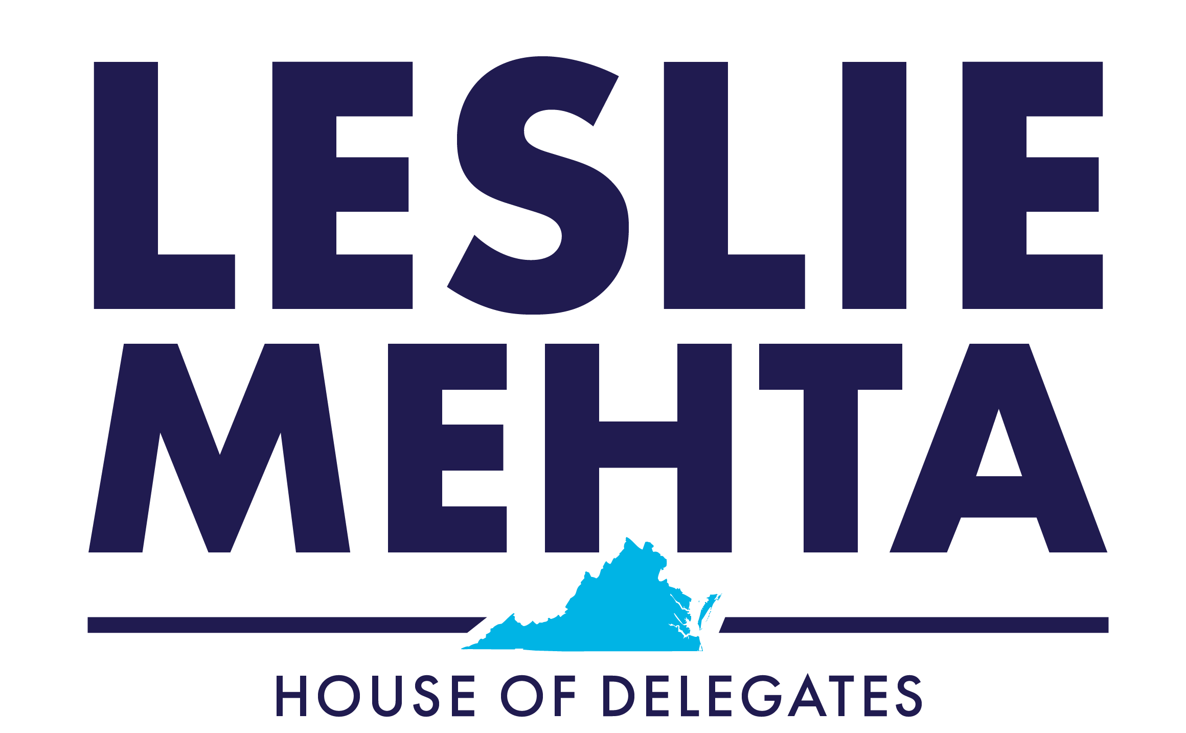 Leslie Chambers Mehta for Virginia | Home